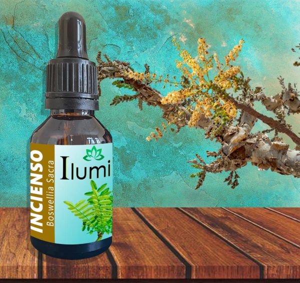 Aceite esencial de Incienso 30 ml - Djinn Guatemala